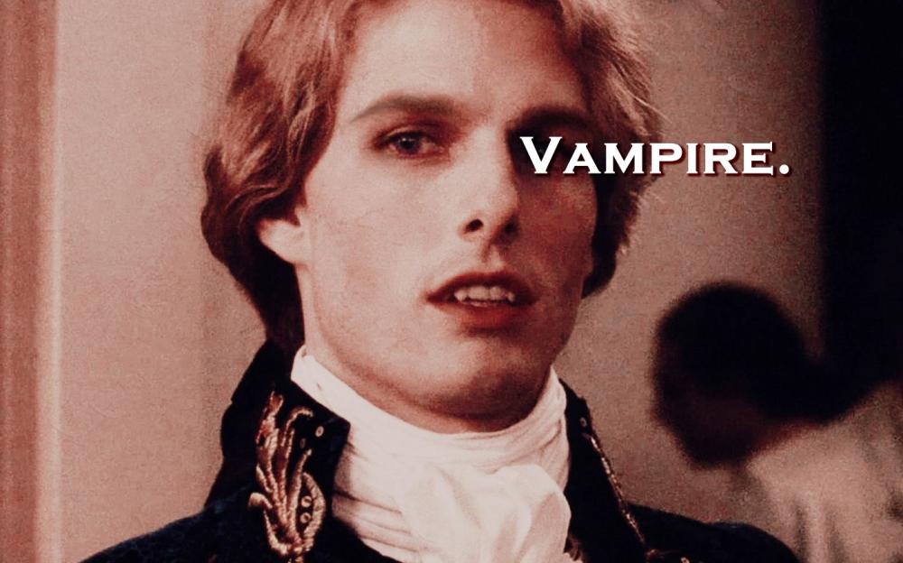 电影推荐 · MVCAT